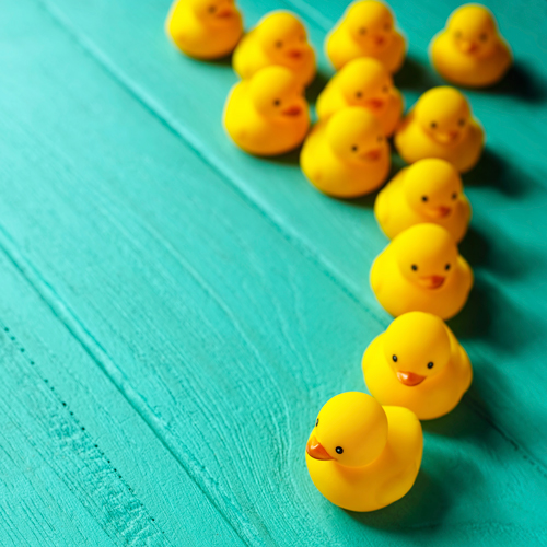 Timing is everything - Management Magazine NZ