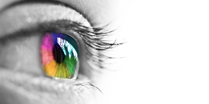 Steps to rainbow inclusiveness in your workplace - Management Magazine NZ