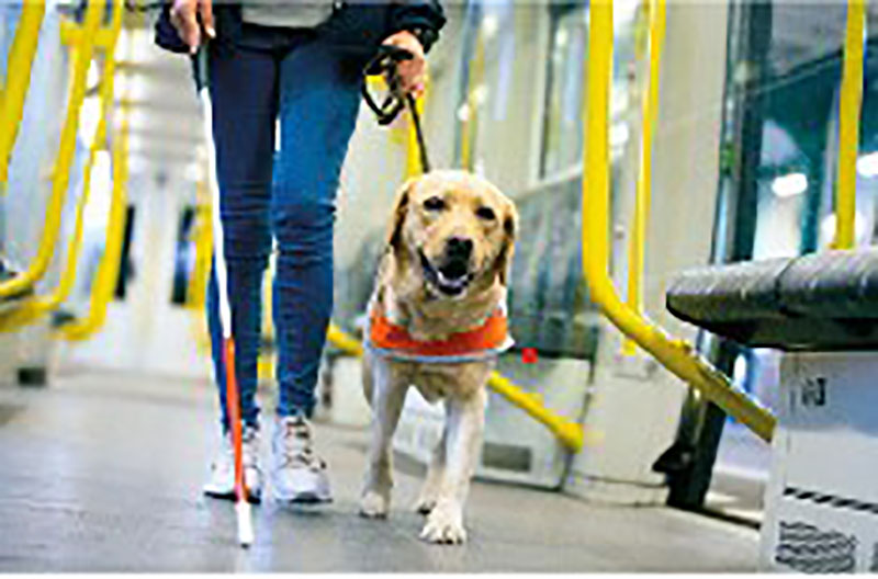 Is your online presence failing people with disabilities? - Management Magazine NZ