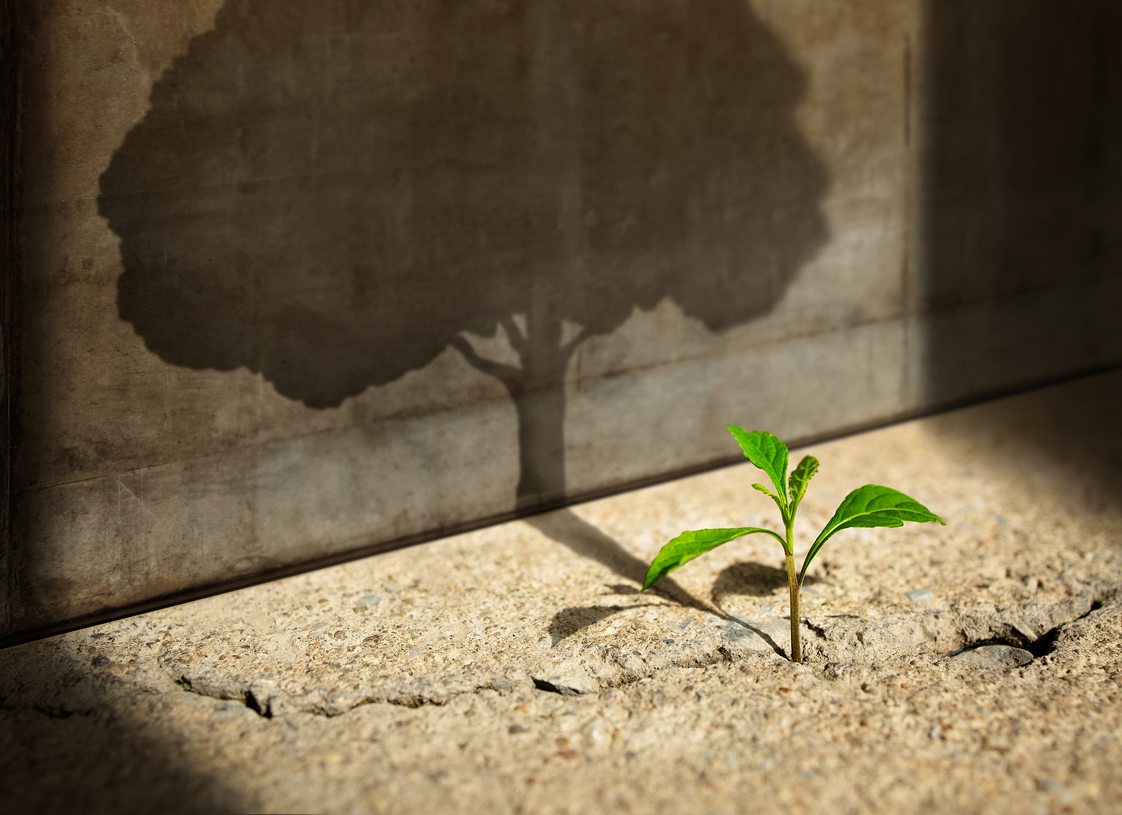 The hidden layers of resilience - what you may not know - Management ...